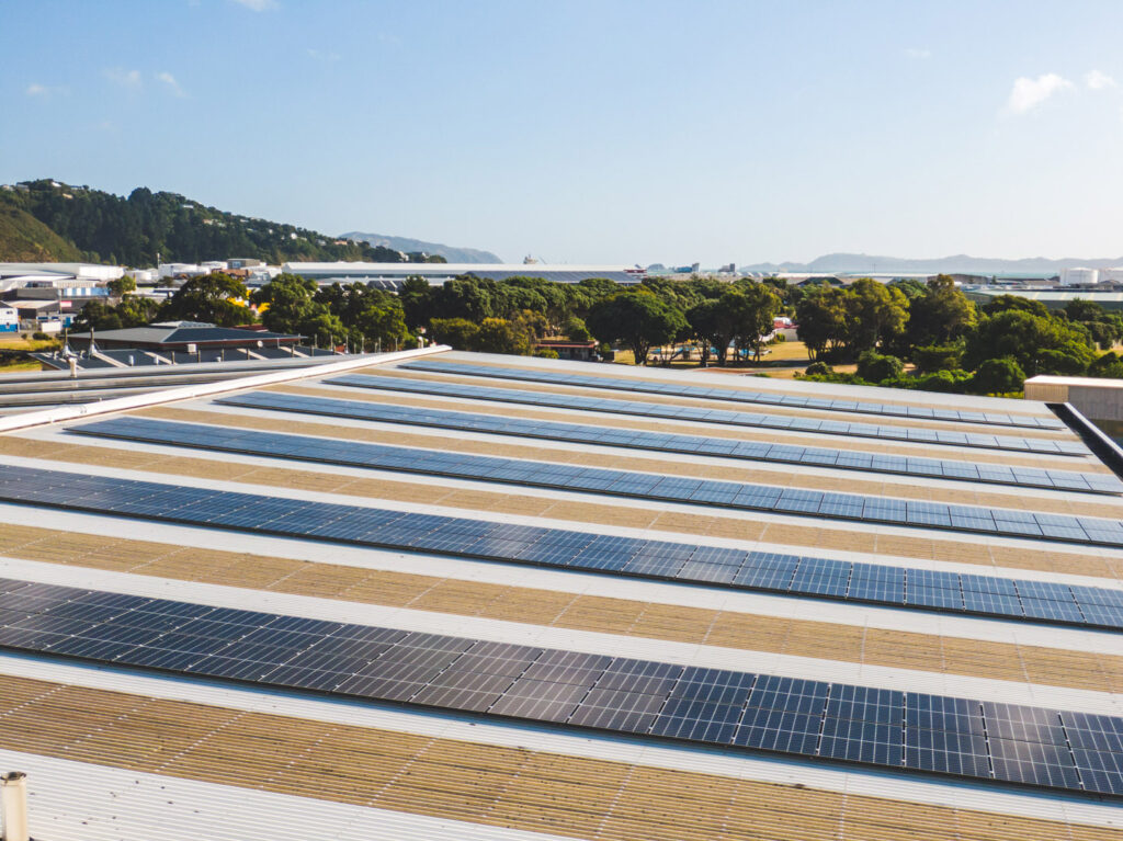 Kapuni - Taranaki - Sunergise